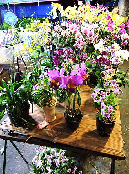 基隆中正│隆香茶室 LOONG HEONG│馬來西亞美食小吃店，海大馬來僑生創業，以美食撫慰對家鄉的想念 – 袁彬的美食旅遊筆記